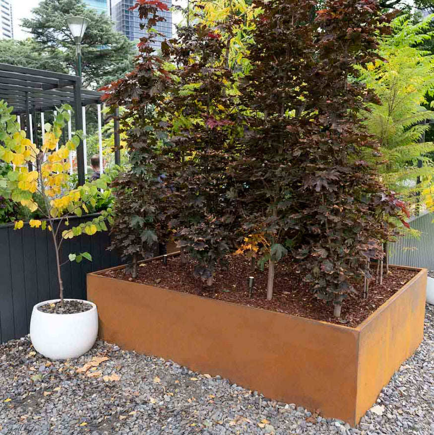 SHAPESCAPER Metal Garden Edging: Premium Landscape Definition ...